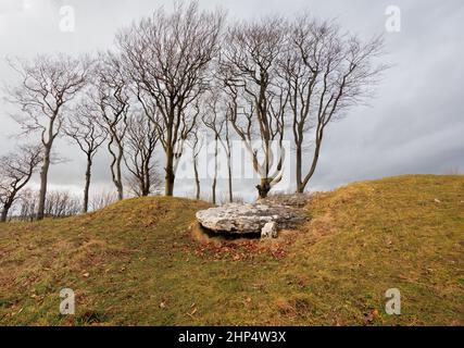 Minninglow is an archaeologhical site in the Peak District National ...