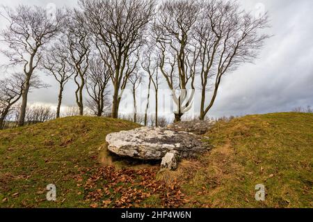 Minninglow is an archaeologhical site in the Peak District National ...