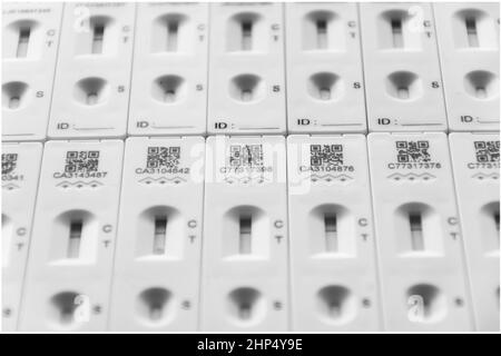 Closeup of used rapid lateral flow test kits Stock Photo - Alamy