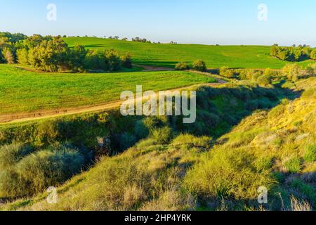 View of countryside in the Ruhama Badlands, the Northern Negev Desert ...