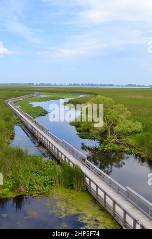 Aerial of Point Pelee National Park, a national park in Essex County in ...