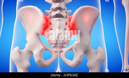 Sacroiliac joint, illustration Stock Photo - Alamy