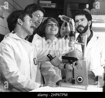 Scientists examine tissue culture flask Stock Photo - Alamy