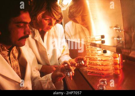 A Laminar flow tissue culture hood for handling cells in sterile ...
