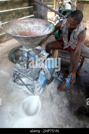 Man mills maize to make Ugali. Ugali is a type of maize porridge eaten ...