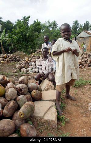 Child with coconut Ghana West Africa Stock Photo - Alamy