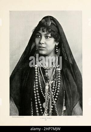 Fellah is the Arabic word for ploughman. In Palestine under the Ottoman ...