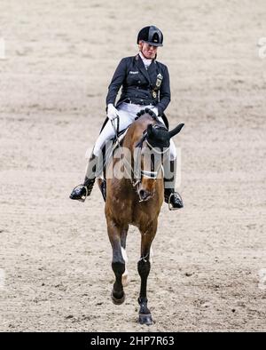 Neumünster, Germany. 19 February 2022, Equestrian Sport/Dressage: World ...
