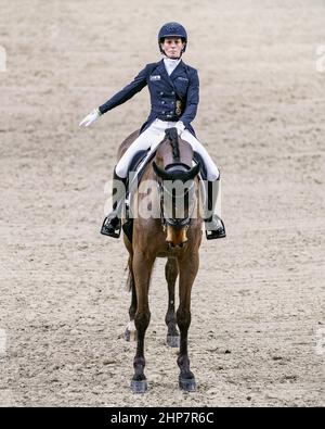 Neumünster, Germany. 19 February 2022, Equestrian Sport/Dressage: World ...