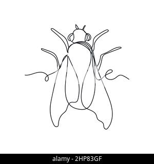 Fly line drawing Stock Vector Image & Art - Alamy