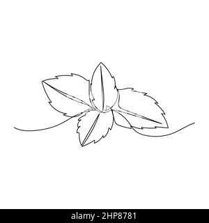 Leaves icon in continuous line drawing style. Line art of leaves icon ...