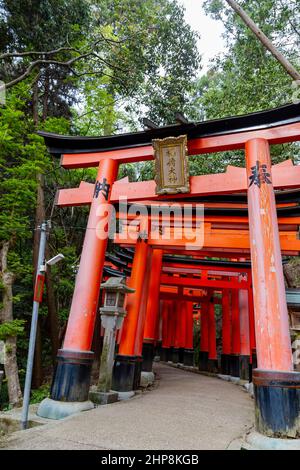 Sunny view of the Senbon Torii of Fushimi Inari-taisha at Kyoto, Japan ...