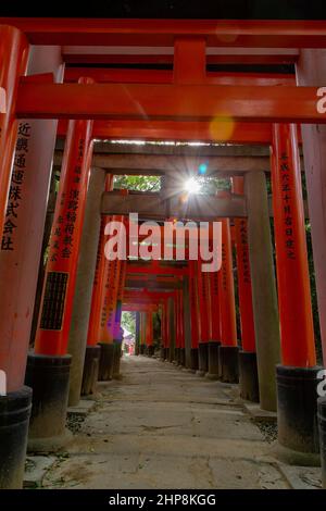Sunny view of the Senbon Torii of Fushimi Inari-taisha at Kyoto, Japan ...