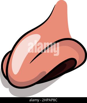 Anatomy rhinoplasty icon cartoon vector. Nose surgery. Plastic face ...