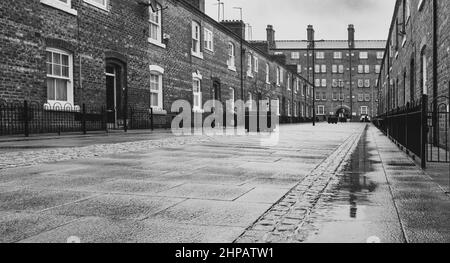 Anita Street Victorian terraced house with Victoria Square at twilight ...