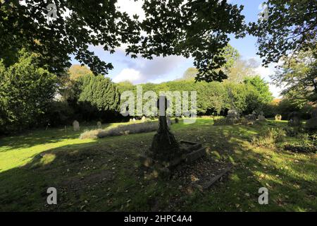 The ruins of St Marys church, Benwick village; Cambridgeshire; England ...