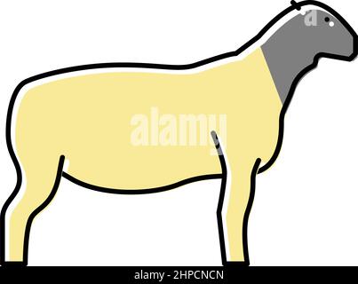 dorper sheep color icon vector illustration Stock Vector Image & Art ...