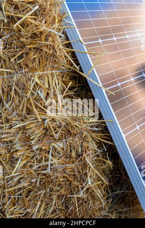 Stacks of straw. Alternative fuel source. Concept Alternative fuel ...