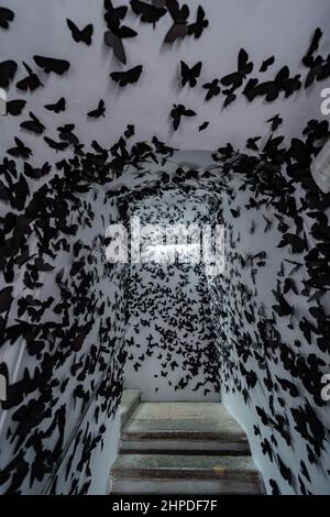 Rome, Italy. 18th Feb, 2022. Exhibition ''CRAZY - madness in ...