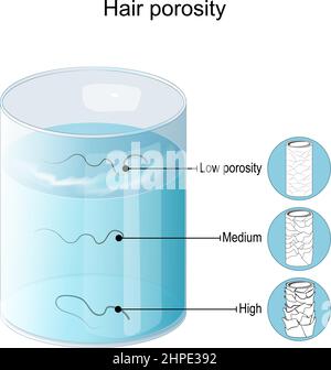 Hair porosity water float test infographics poster Stock Vector Image ...