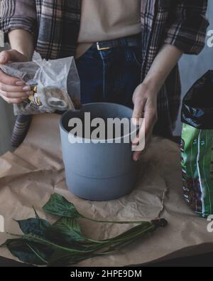 A woman florist pours drainage for planting plants in a flower pot ...