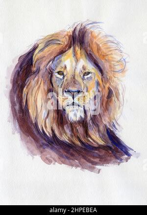 Cute baby lion isolated on white background. Watercolor hand drawn ...
