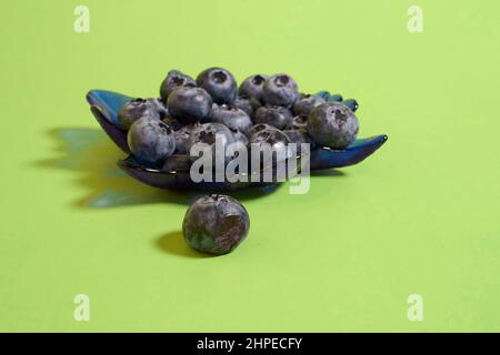 Ripe and rotten blueberries in a glass plate on a colored background ...