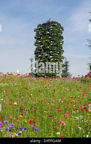 Milan, Italy Flowers and Gardens in various locations in Italy. In the ...