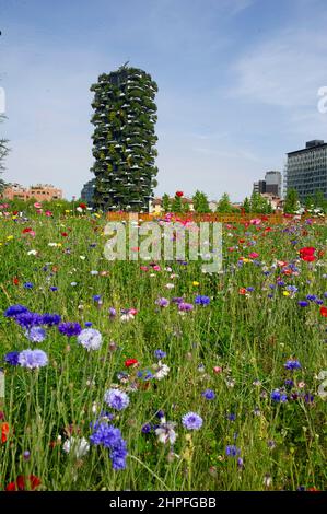 Milan, Italy Flowers and Gardens in various locations in Italy In the ...