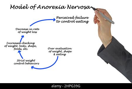 Model of Development of Anorexia Nervosa Stock Photo - Alamy