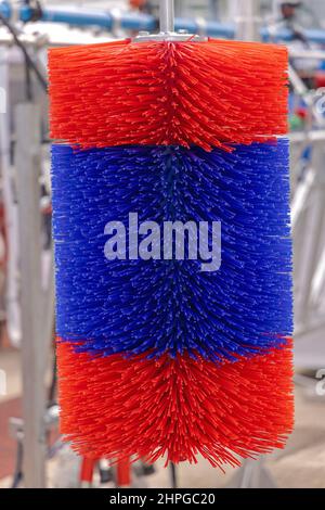 cow with automatic scratching machine Stock Photo - Alamy