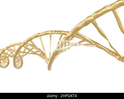 Segment of golden DNA structure on white background Stock Photo - Alamy