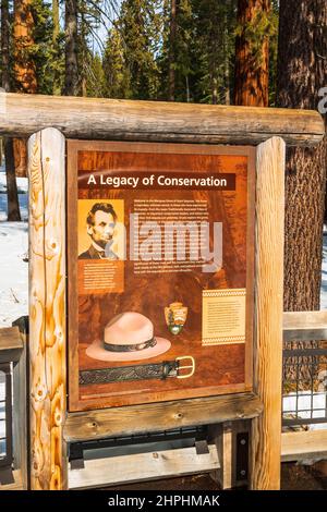 Giant Sequoia interpretive sign at Mariposa Grove, Yosemite National ...