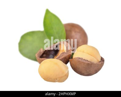 Peeled organic Macadamia nuts with leaf on wooden table Stock Photo - Alamy