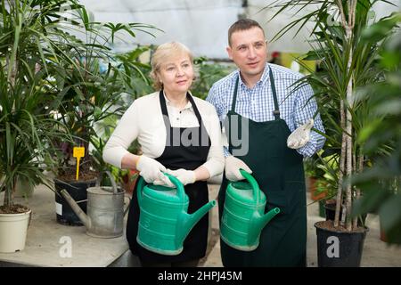 Two gardener are taking care of flowers with secateurs and watered it ...