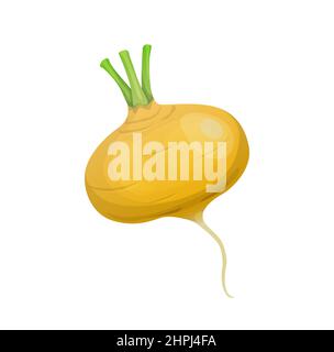 Radish icon flat vector. Eco farming. Field garden isolated Stock ...