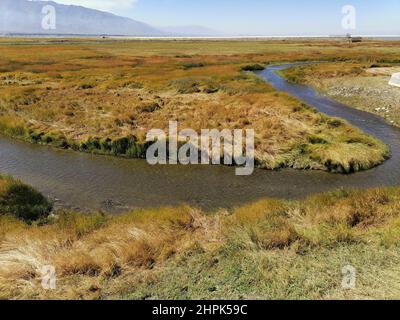 Xinjiang barkol: Gao Jiahu wetlands Stock Photo - Alamy