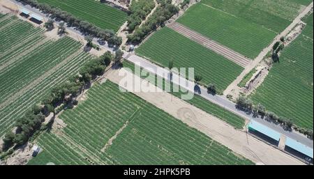 Aerial xinjiang hami, hami melon harvest season, the core area of ...