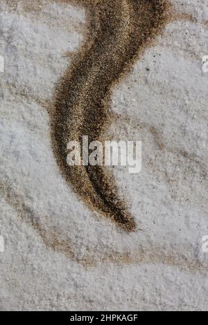 Interesting natural patterns and formations found in the sand dunes and ...