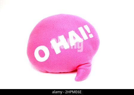 Designer Throwboy Pillow in the shape of a Speech Bubble with Camera ...
