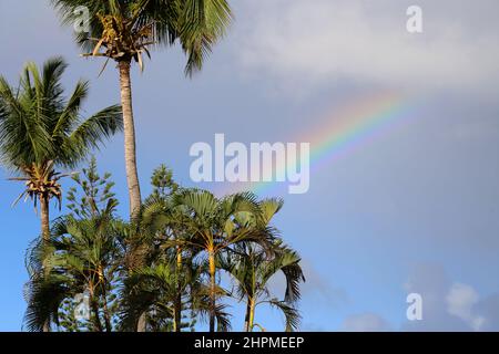 Rainbow over Mystique by Royalton, Reduit Beach, Rodney Bay, Gros Islet ...