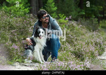 Border collie dog in heather landscape Stock Photo - Alamy