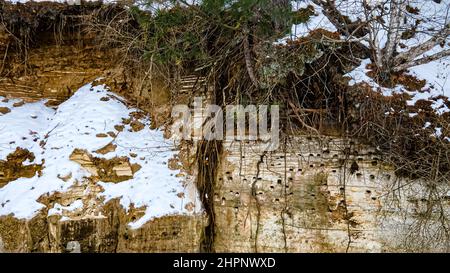 Roots, grass, and snow fall over ledge into river Stock Photo - Alamy