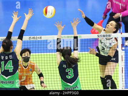 23rd Feb, 2022. Volleyball: IBK Altos vs. Hyundai E&C Hillstate Daly ...