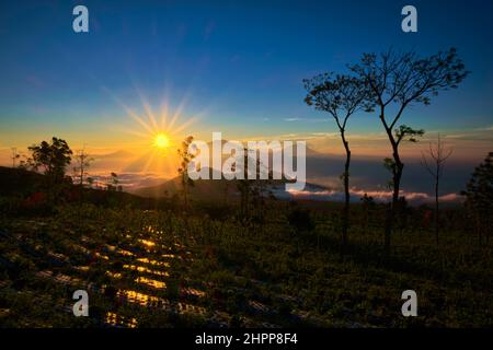 Dusun, Butuh, Temanggung, Kaliangkrik, Magelang, Jawa Tengah 56153 ...