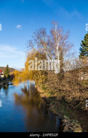 view to river Unstrut at Oldisleben with tree Stock Photo - Alamy