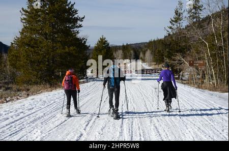 Cross country skiing along the Provo river in the Mirror lake area in ...