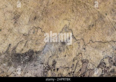 background of old wood stem with harmonic structure Stock Photo - Alamy