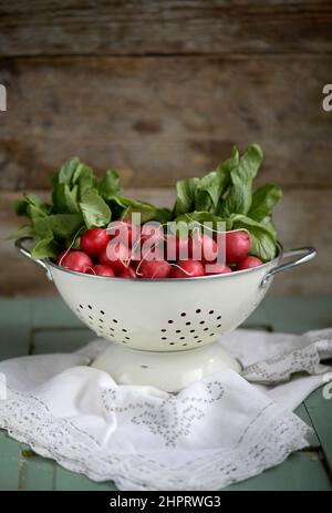 Red radishes Photo Janerik Henriksson / TT code 10010 Stock Photo - Alamy