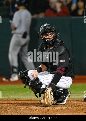 Bethune-Cookman catcher Brandyn Gatenby (32) during an NCAA baseball ...